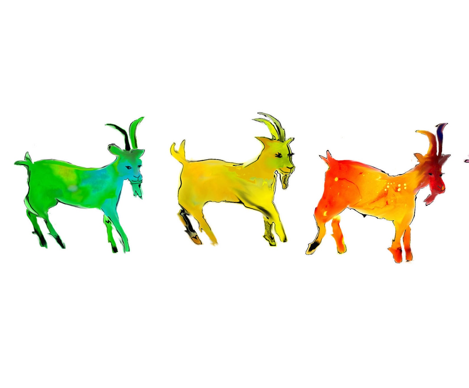 Goat Art Print, Farm Barn Animal Illustration Drawing Print, Rainbow ...
