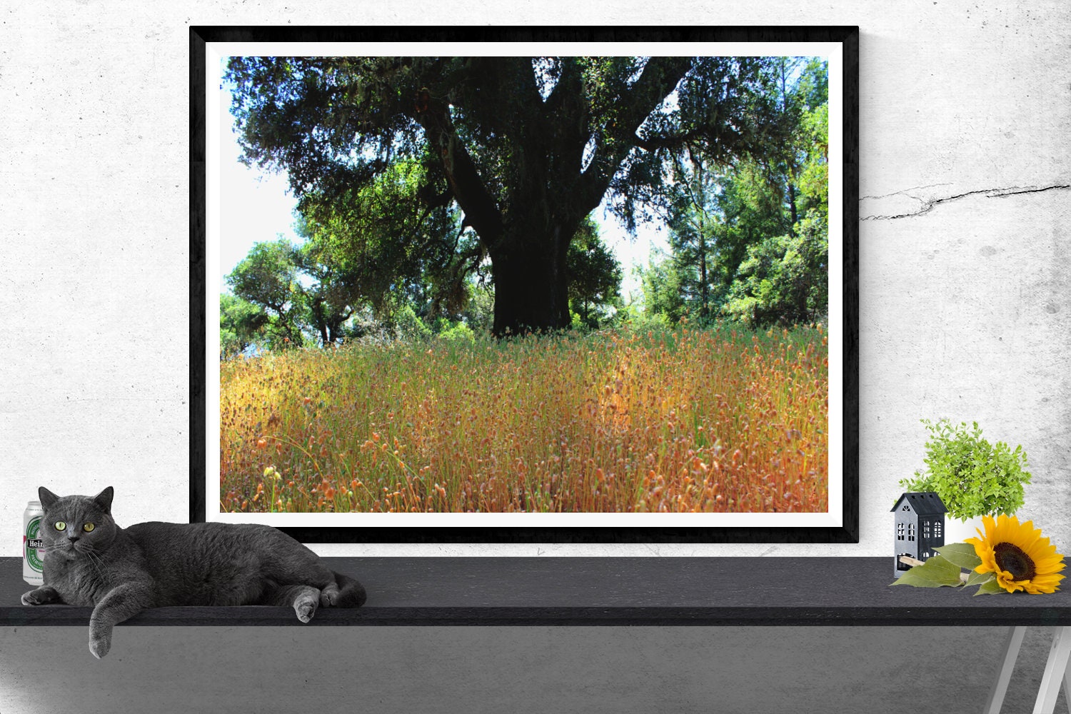 Tree Photography Art Print, California Landscape Photo Print, Green ...