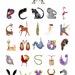 Alphabet Poster Alphabet Nursery Wall Art ABC Print Animal - Etsy