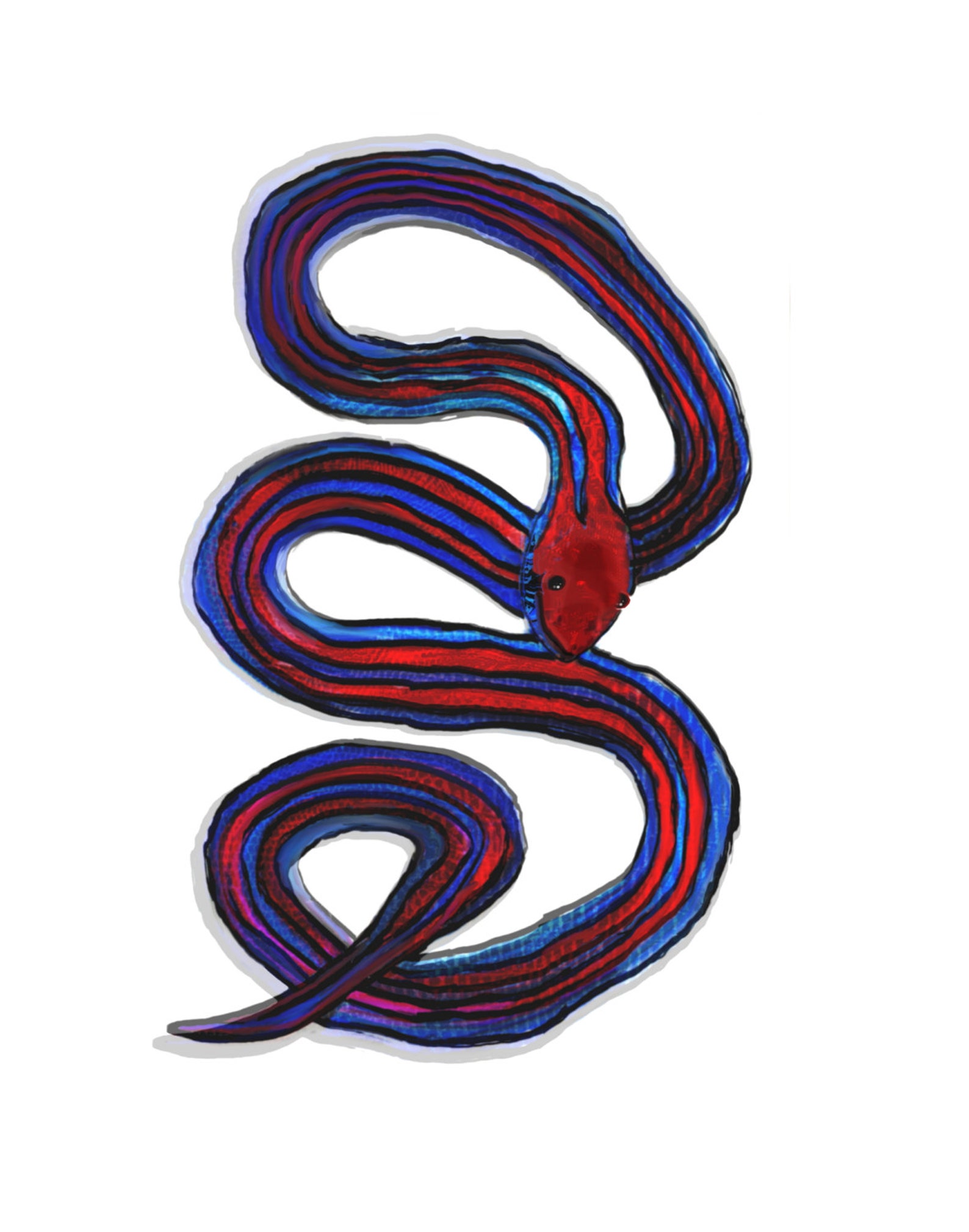 Snake Art Print, Reptile Wall Art, Endangered Species Art, Red Blue ...