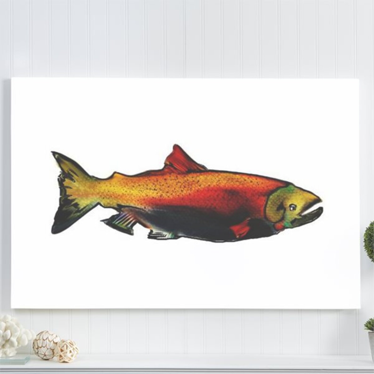 Coho Salmon Art Print, Fish Illustration Print, Endangered Species Art ...
