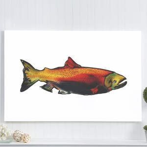 Coho Salmon Art Print, Fish Illustration Print, Endangered Species Art ...