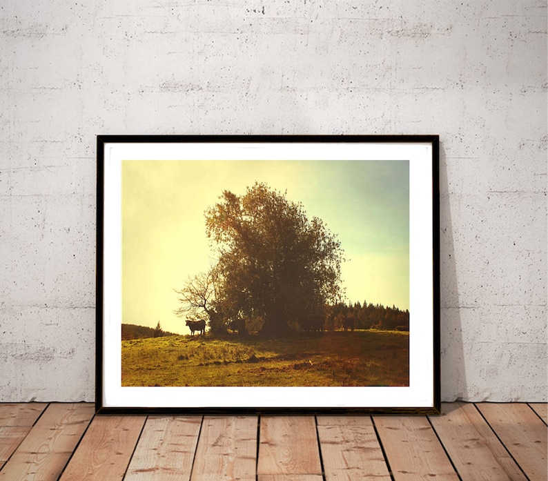Pastoral Landscape Art Print, Nature Photography Print, Rural Landscape ...