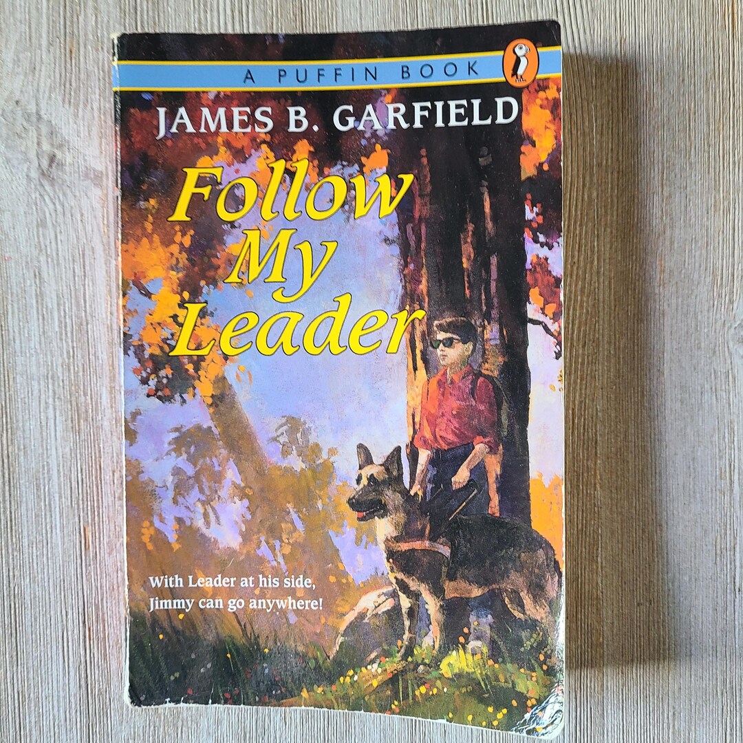 Vintage Follow My Leader Young Adult Book by James B. Garfield 1990s ...