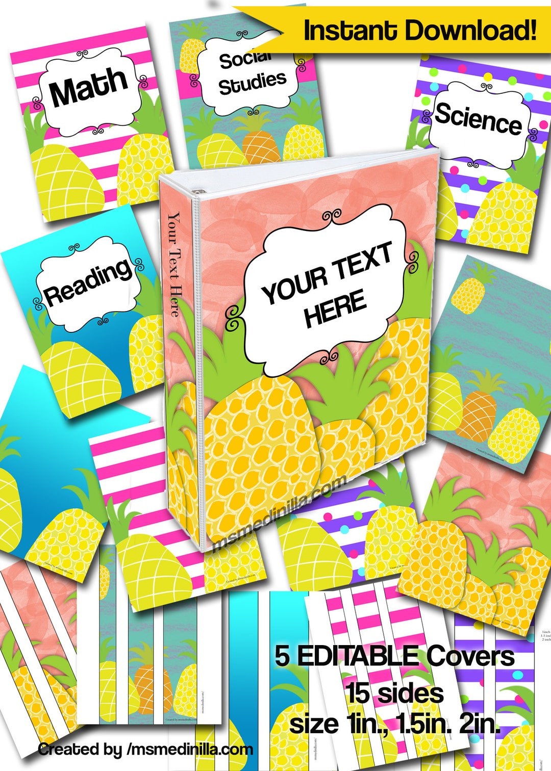 Pineapple Binder Covers Student. Teacher. Substitute Folder Editable ...