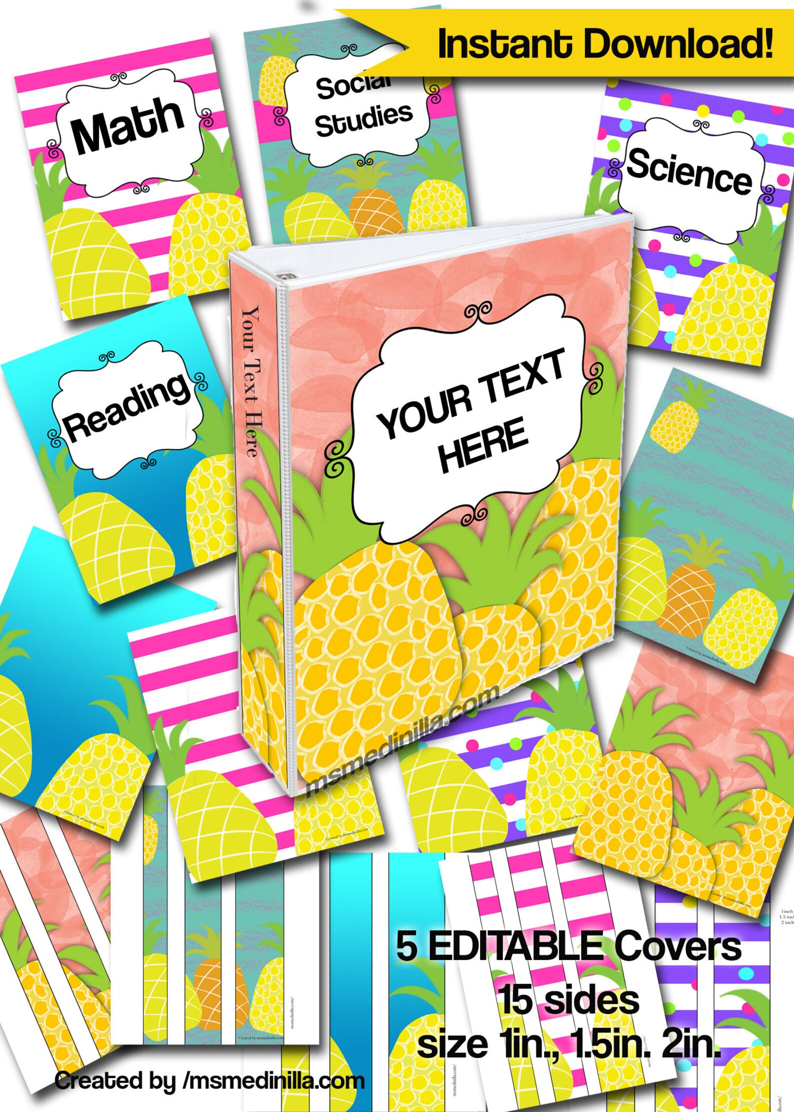 Pineapple Binder Covers Student. Teacher. Substitute Folder - Etsy