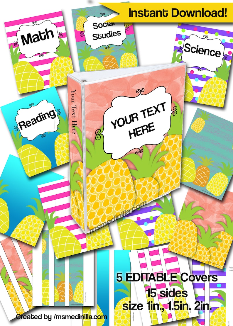Pineapple Binder Covers Student. Teacher. Substitute Folder Editable ...