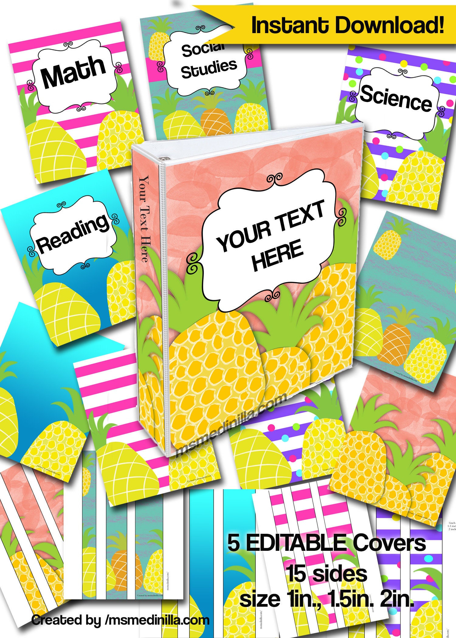 Pineapple Binder Covers Student. Teacher. Substitute Folder Editable ...