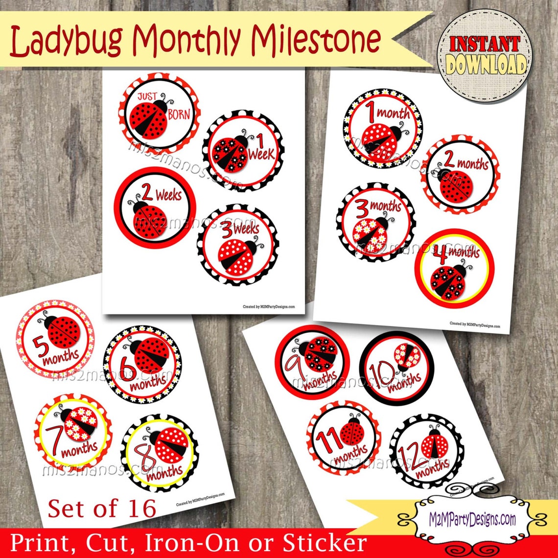 Baseball Baby Monthly Age Milestone Stickers / Iron Ons - Etsy