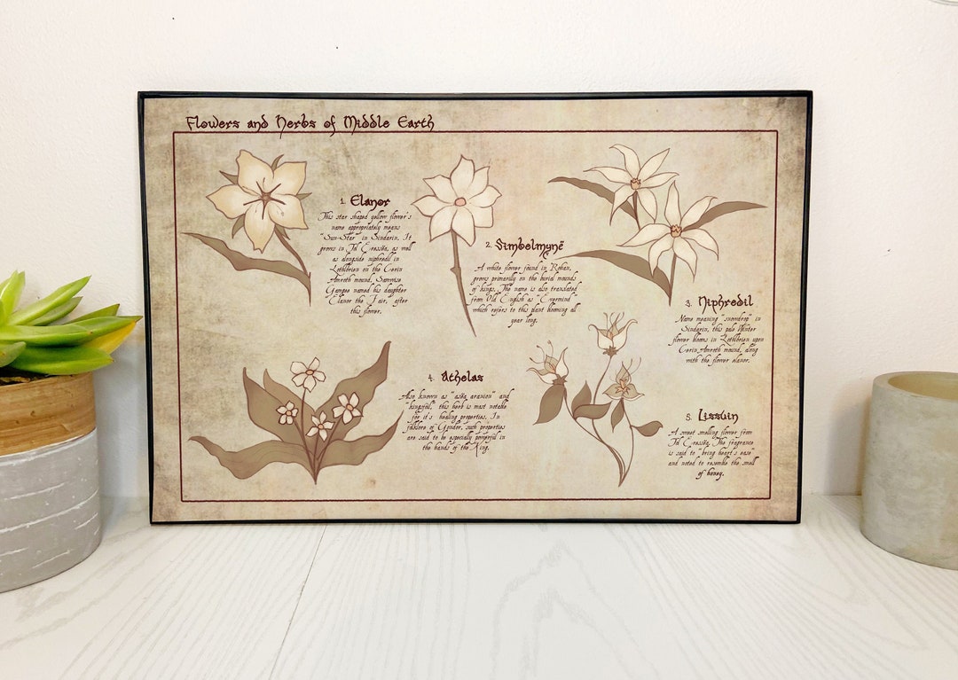 LOTR Botanical Illustration Art Print: Middle Earth Flowers - Etsy
