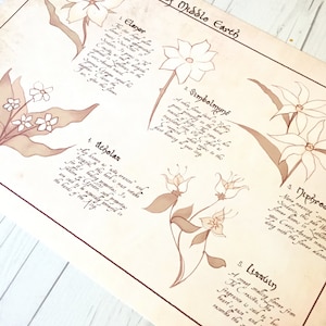 LOTR Fantasy Botanical Illustration Print // LOTR Illustrations ...