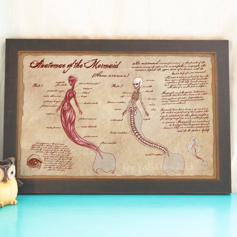 Mermaid Home Decor - Etsy