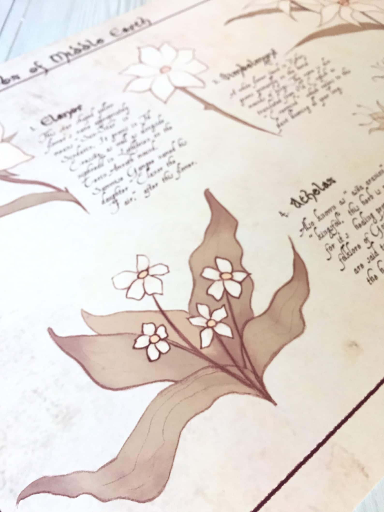 LOTR Fantasy Botanical Illustration Print // LOTR Illustrations ...