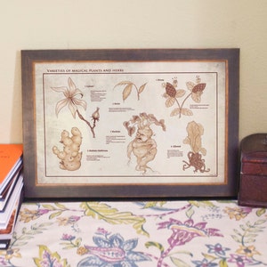 Herbology Studies // Botanical Chart // Magical Plants & Herbs Prints ...