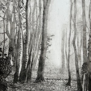 Into the Woods - Hand-printed Etching - Etsy