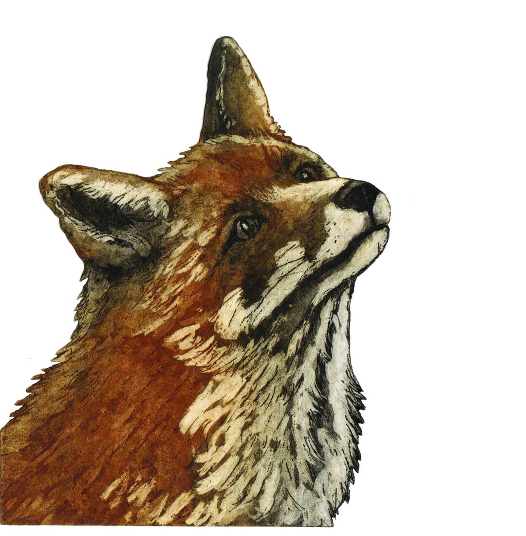 Red Fox - Hand-printed Etching - Etsy