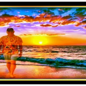 6"x12" Metal License Plate! Rip Jimmy Buffett Tribute! Fins Up! Bubbles ...