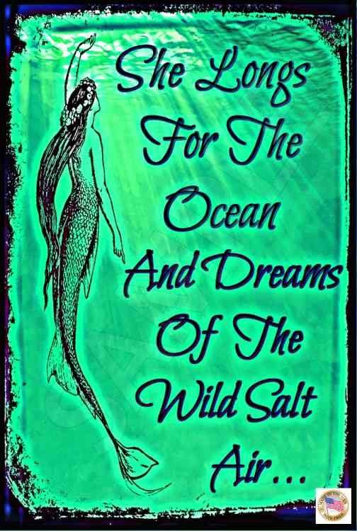 Mermaid Dreams... Made in Hawaii USA! Vivid All Weather Metal 8"x12 ...