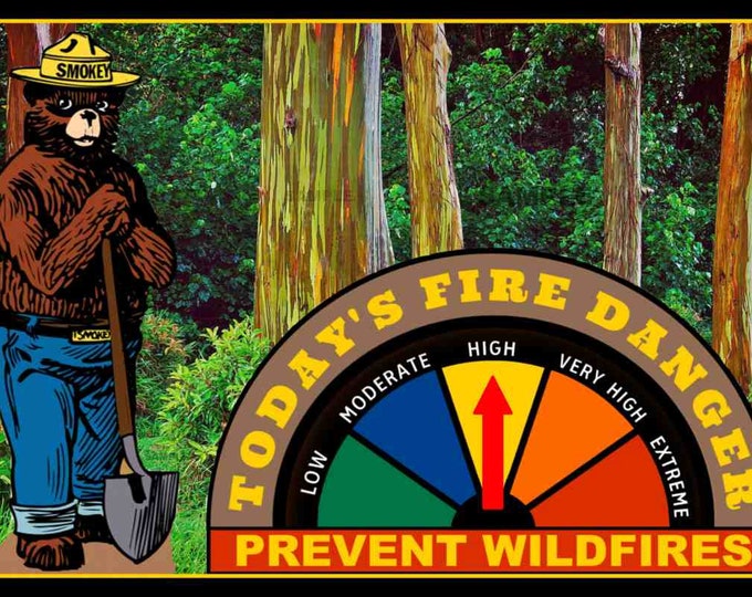 Smokey Bear Hawaiian Forest Fire Danger Sign With Adjustable - Etsy