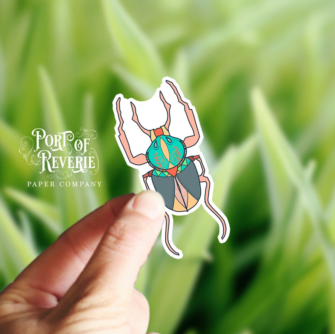 Insect Sticker Beetle Sticker Hand Drawn Die Cut Sticker - Etsy