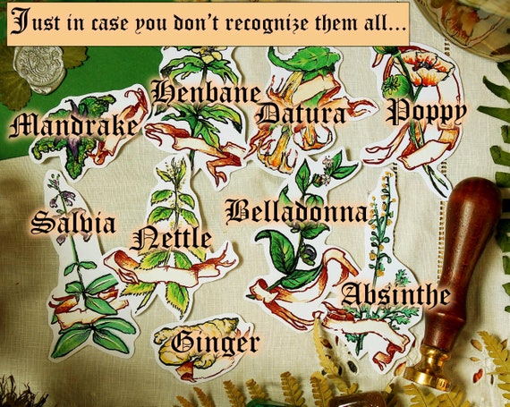 Paper Paper & Party Supplies Set stickers Snakes bujo bullet journal ...