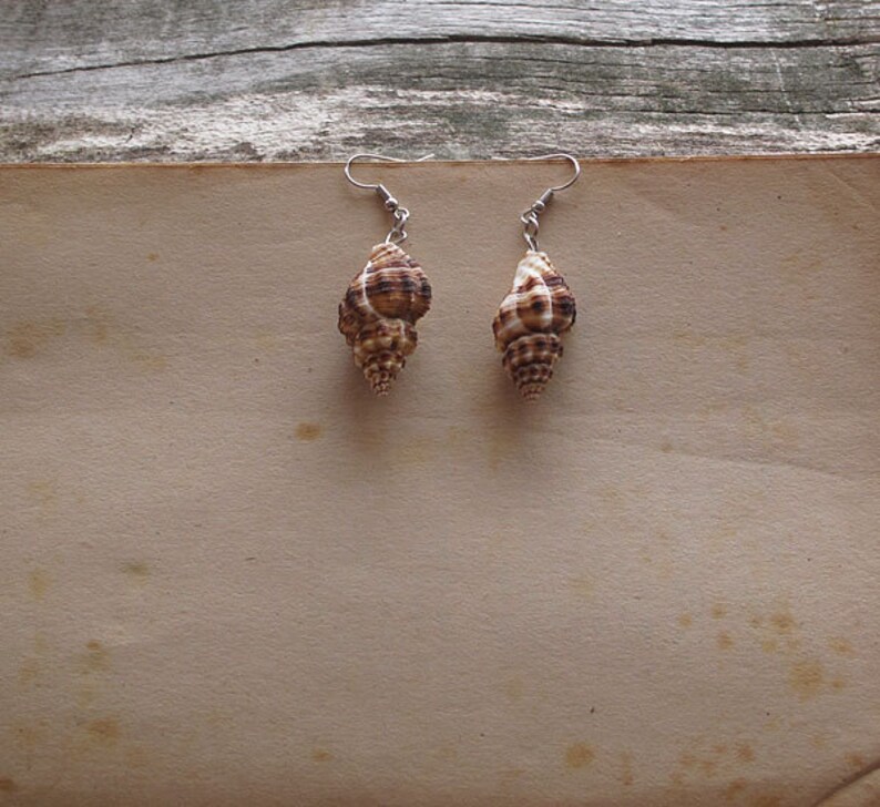 Sea Shells Earring, Natural Sea Shell, Beach Jewelry, Beach Jewelry ...