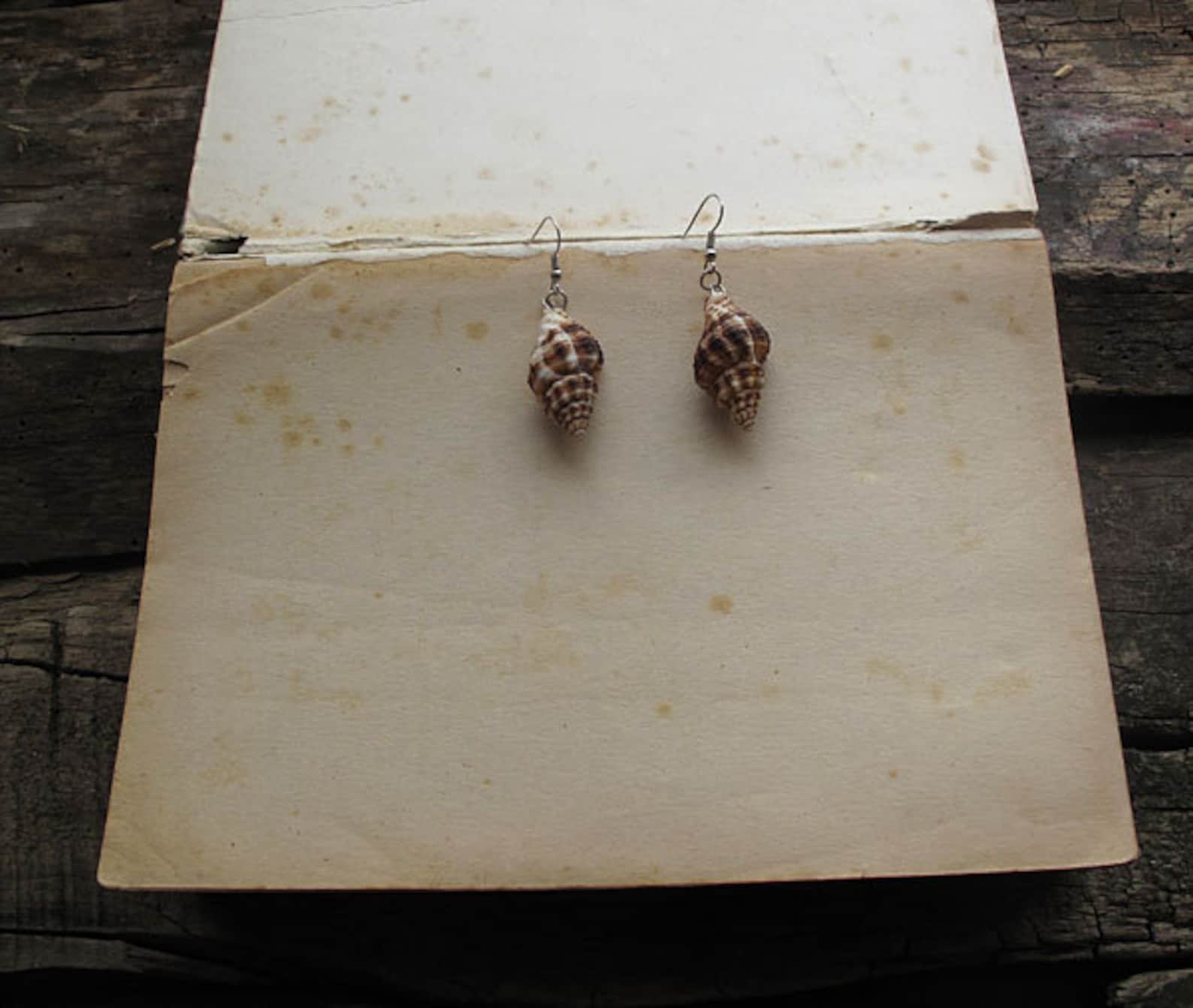 Sea Shells Earring, Natural Sea Shell, Beach Jewelry, Beach Jewelry ...