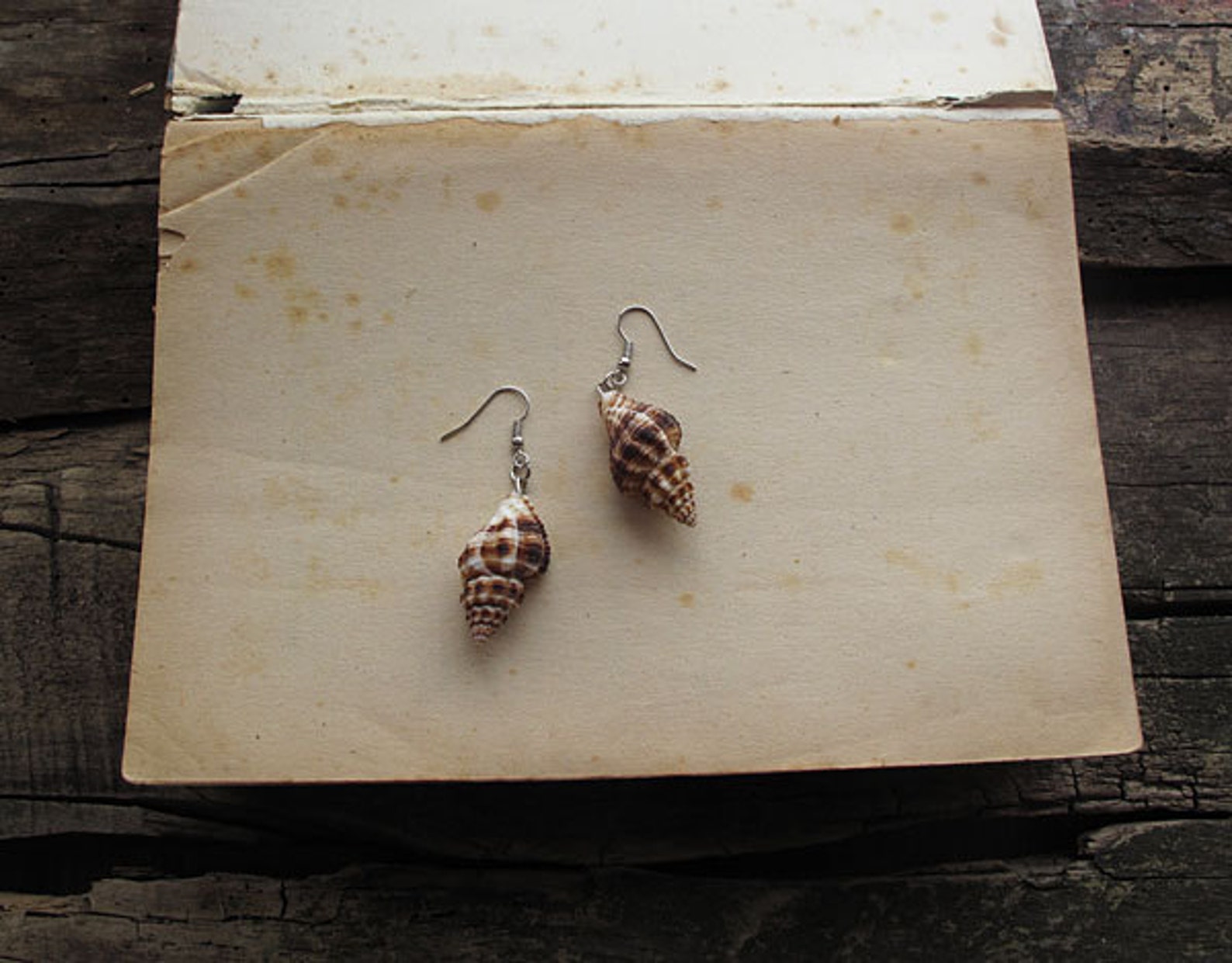 Sea Shells Earring, Natural Sea Shell, Beach Jewelry, Beach Jewelry ...