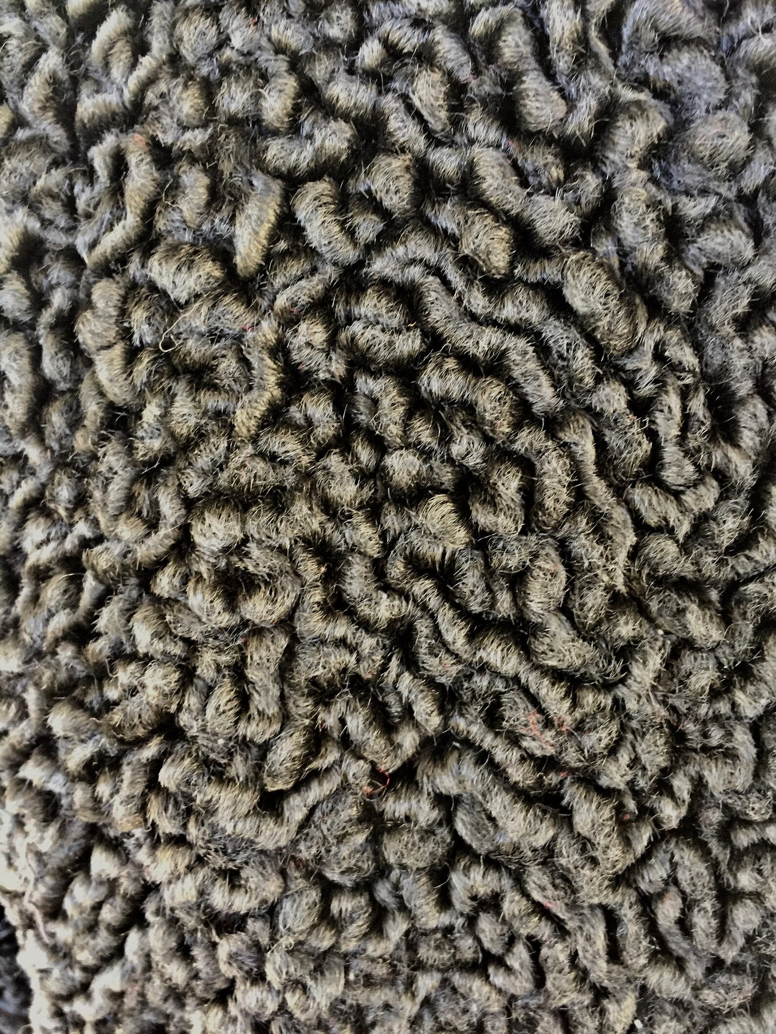 50's Curly Lambs Wool Crop Style Short Black Coat - Etsy