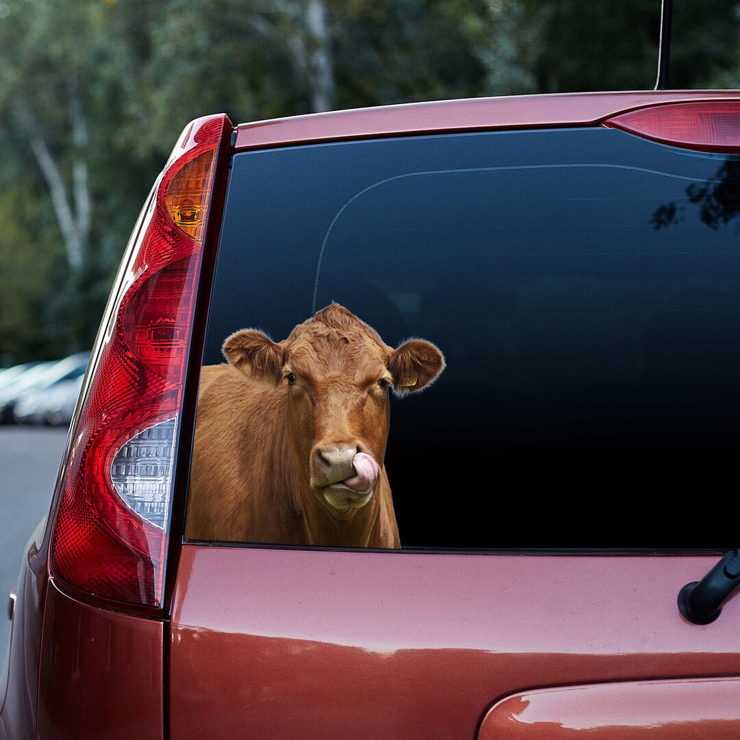 Funny Angus Brown Cow Vinyl Car Decal Sticker CS5119 Custom - Etsy