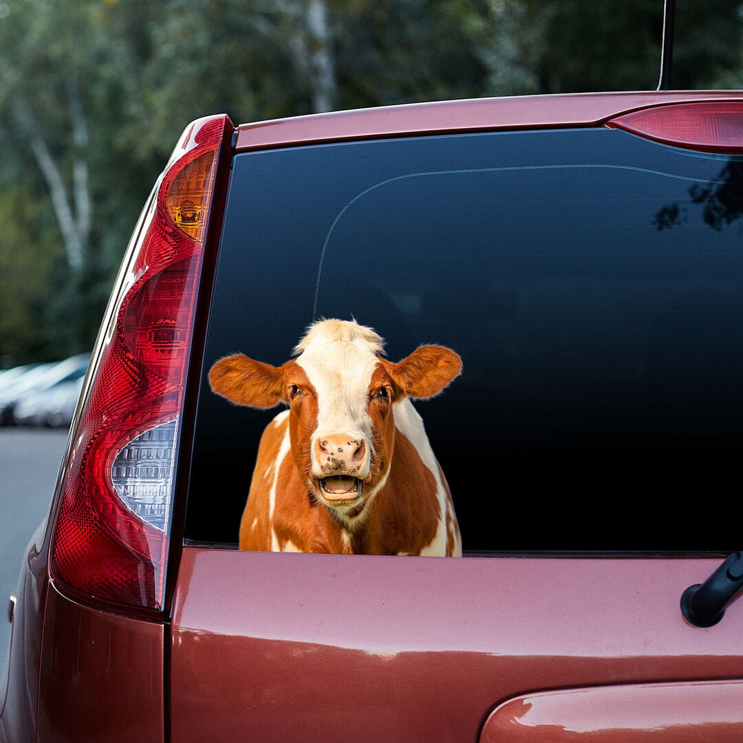 Funny Lovely Angus Mooing Cow Vinyl Car Decal Sticker CS5118 - Etsy