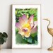 Pink and Yellow Lotus Flower Painting by Artist Susan Thornberg - Etsy
