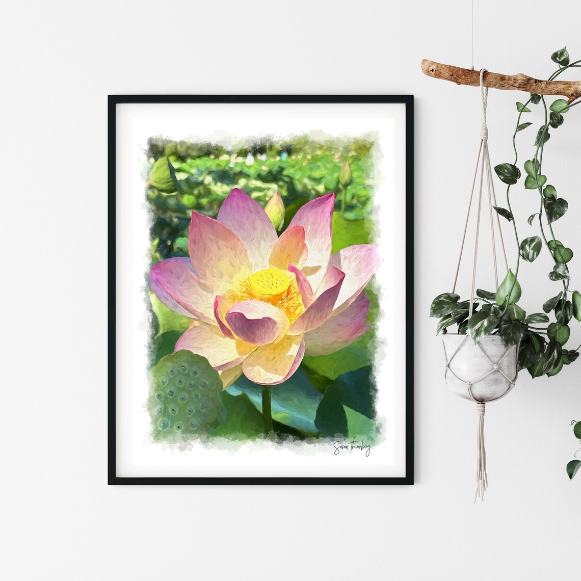 Pink and Yellow Lotus Flower Painting by Artist Susan Thornberg - Etsy