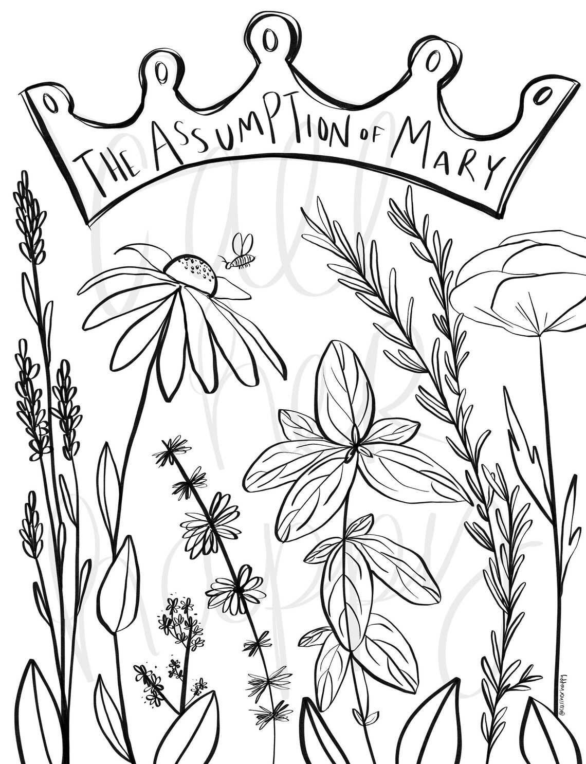 Assumption of Mary Coloring Page Sheet Liturgical Year Catholic ...