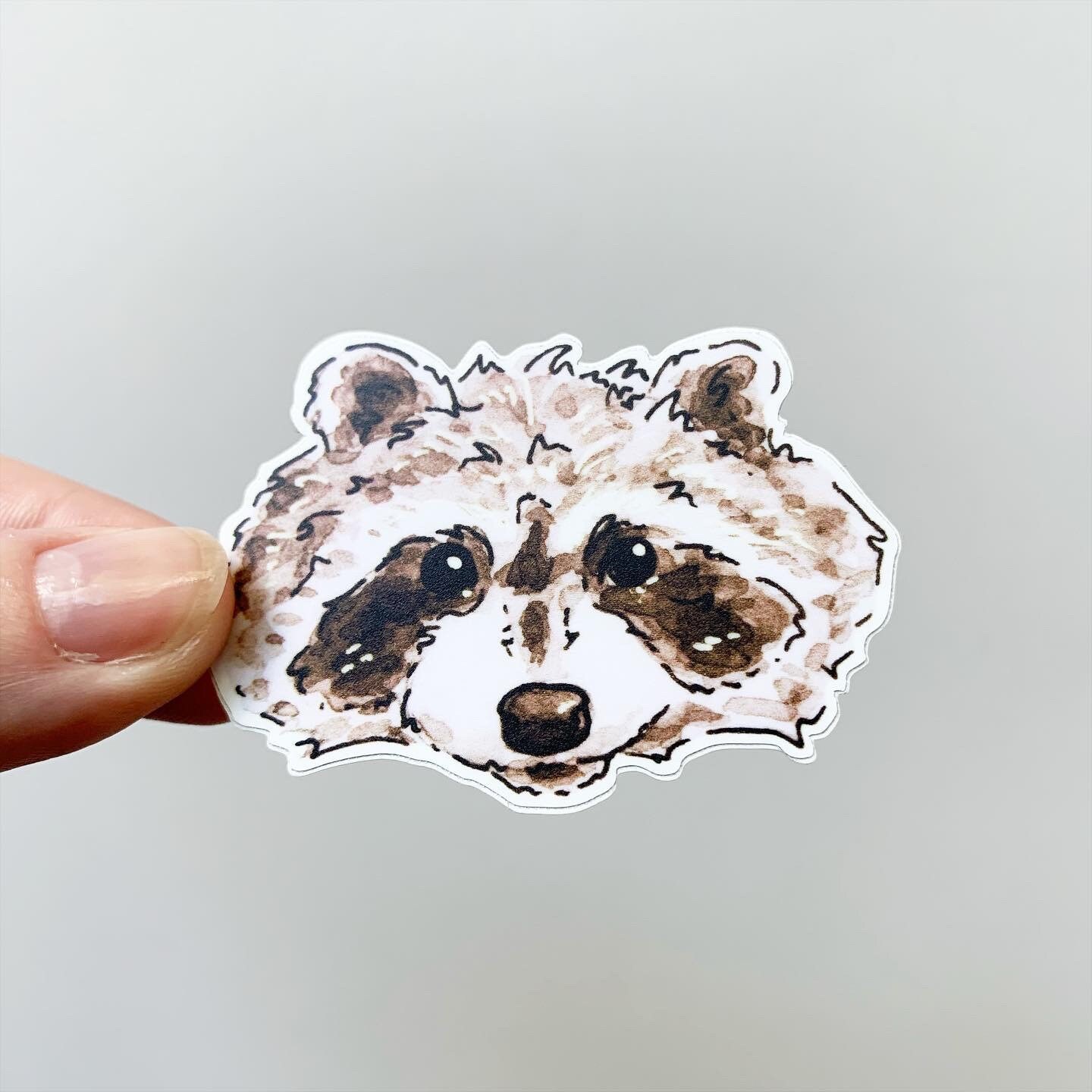 Raccoon Vinyl Sticker Laptop Water Bottle and Car Decal | Etsy