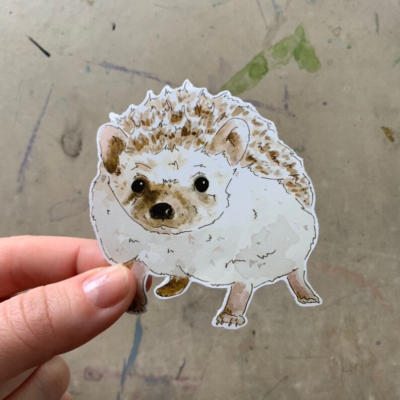 Hedgehog Vinyl Sticker Laptop Water Bottle and Car Decal - Etsy