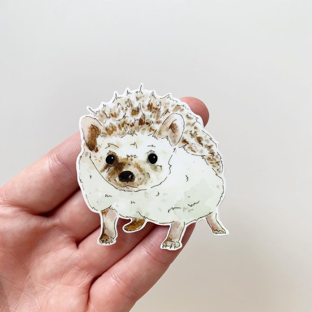 Hedgehog Vinyl Sticker Laptop Water Bottle and Car Decal - Etsy