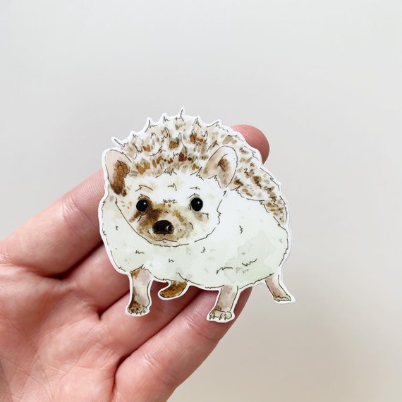Hedgehog Vinyl Sticker Laptop Water Bottle and Car Decal - Etsy