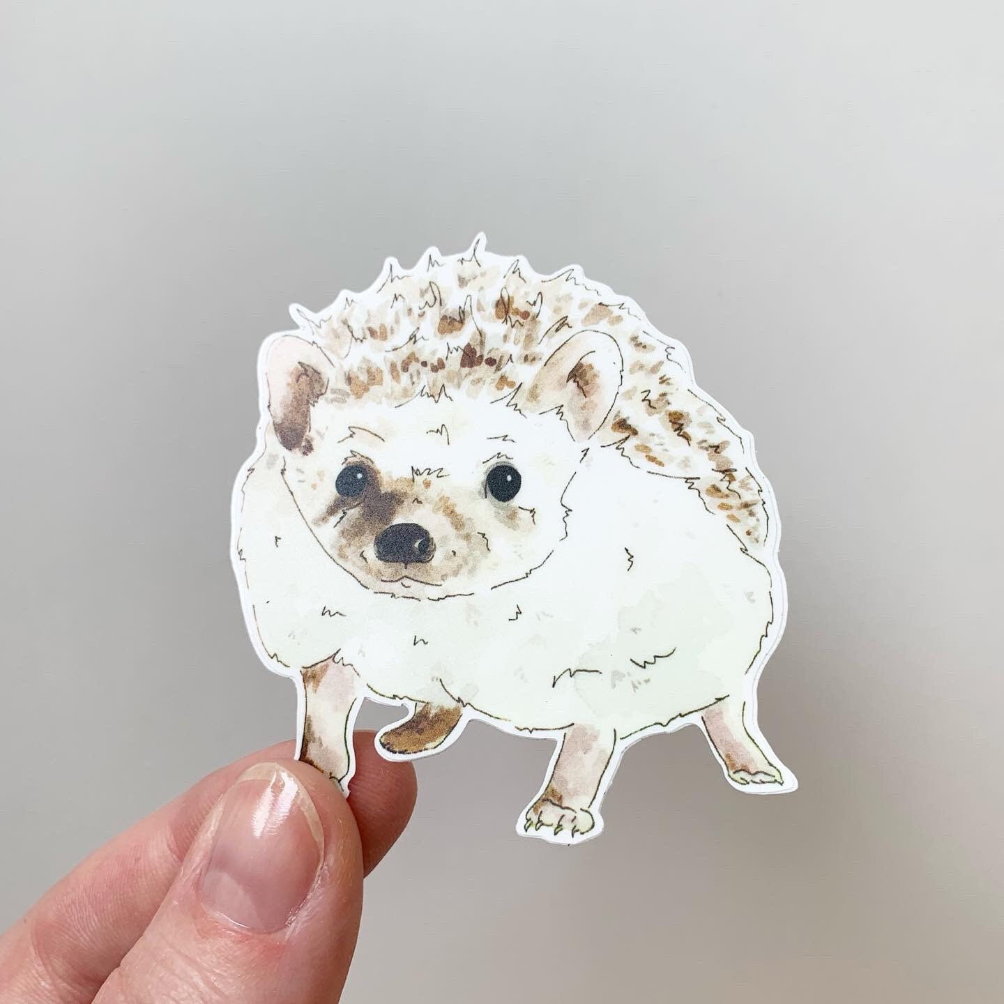 Hedgehog Vinyl Sticker Laptop Water Bottle and Car Decal - Etsy