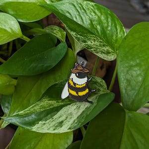 Beehaw Bumblebee - Hard Enamel Pin - Etsy