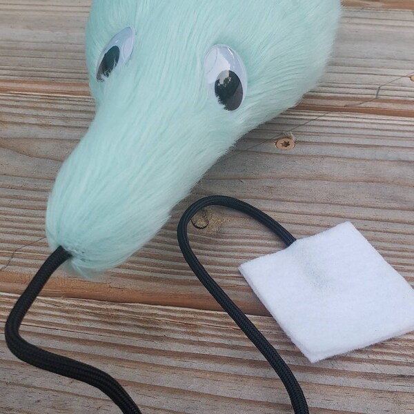 Worm on a String Fursuit Base - Etsy