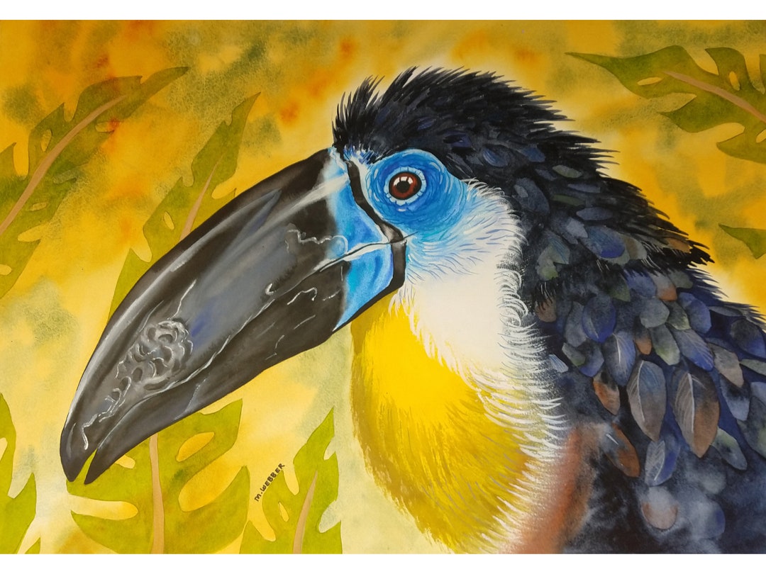 Arte original acuarela pintura pájaro tucán azul y amarillo - Etsy México
