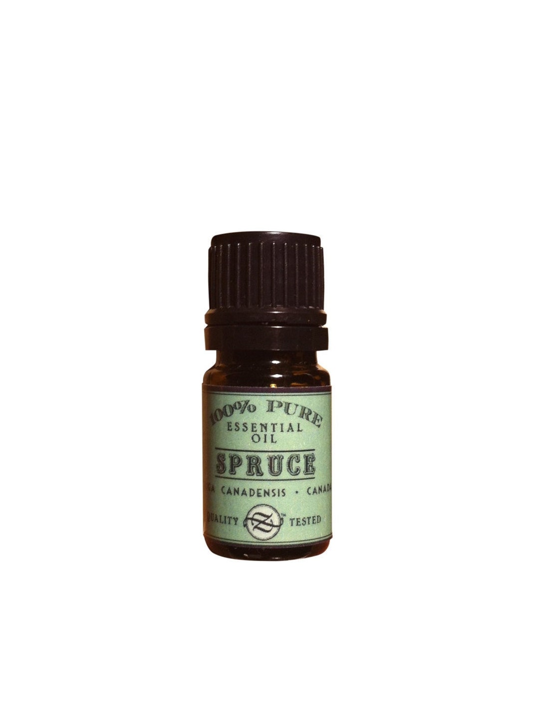Spruce, Eastern Hemlock, Tsuga Canadensis, Canada - 100% Pure Essential ...