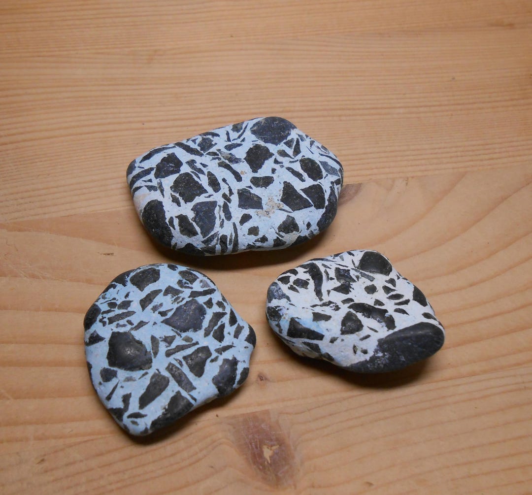 Sea Pottery 3 Pieces Terrazzo Tile Shards "granigliato" Black and Blue ...