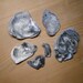 Seashells 6 Pieces of Eroded Seashells, Surf Tumbled Sea Shell ...