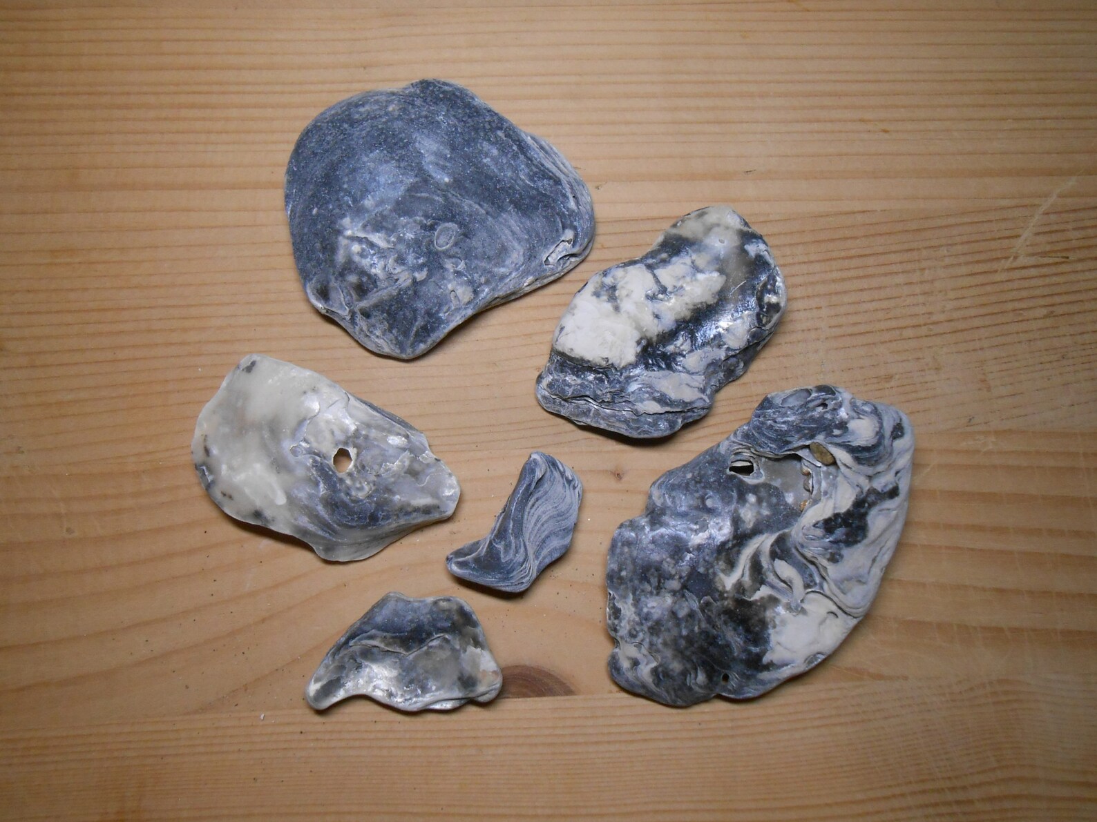 Seashells 6 Pieces of Eroded Seashells Surf Tumbled Sea Shell - Etsy