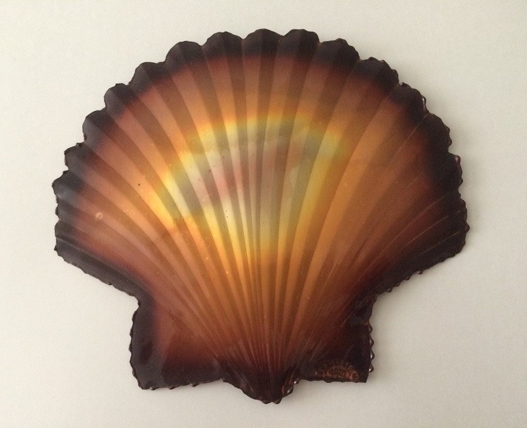 Copper Scallop Shell/coastal Decor/seashore/metal Nautical Decor/hand ...
