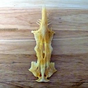 Crucifix Fish Gaff Top Sailcat Fish Skull Religious Jesus Christ Cross ...