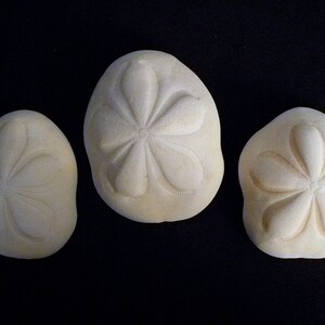 Oversized Sand Dollar Sign Giant Sand Dollar Coastal Style | Etsy