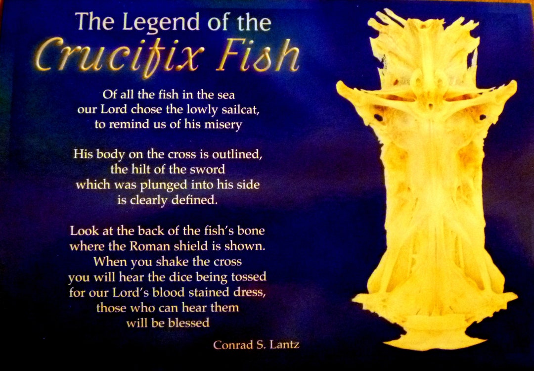 Crucifix Fish Gaff Top Sailcat Fish Skull Religious Jesus Christ Cross ...